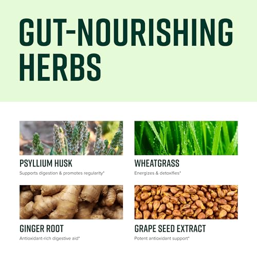 Natural digestive health booster