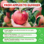 natural digestive health gummies