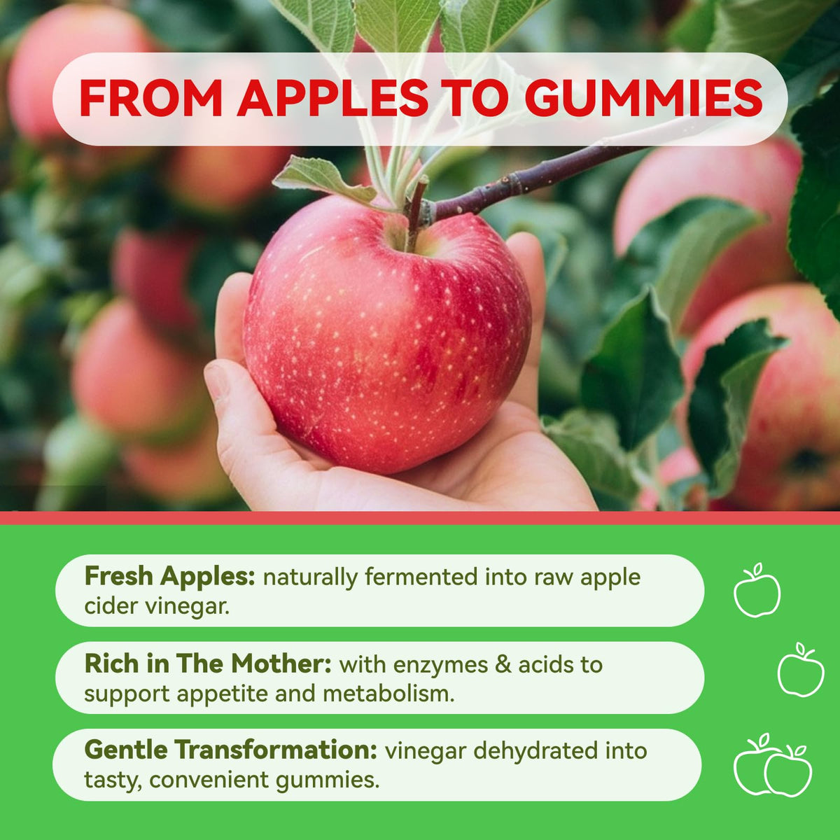 natural digestive health gummies