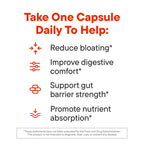 natural digestive health probiotics