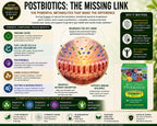 natural digestive health probiotics