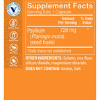 natural digestive health psyllium husk