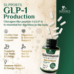 natural digestive health supplement