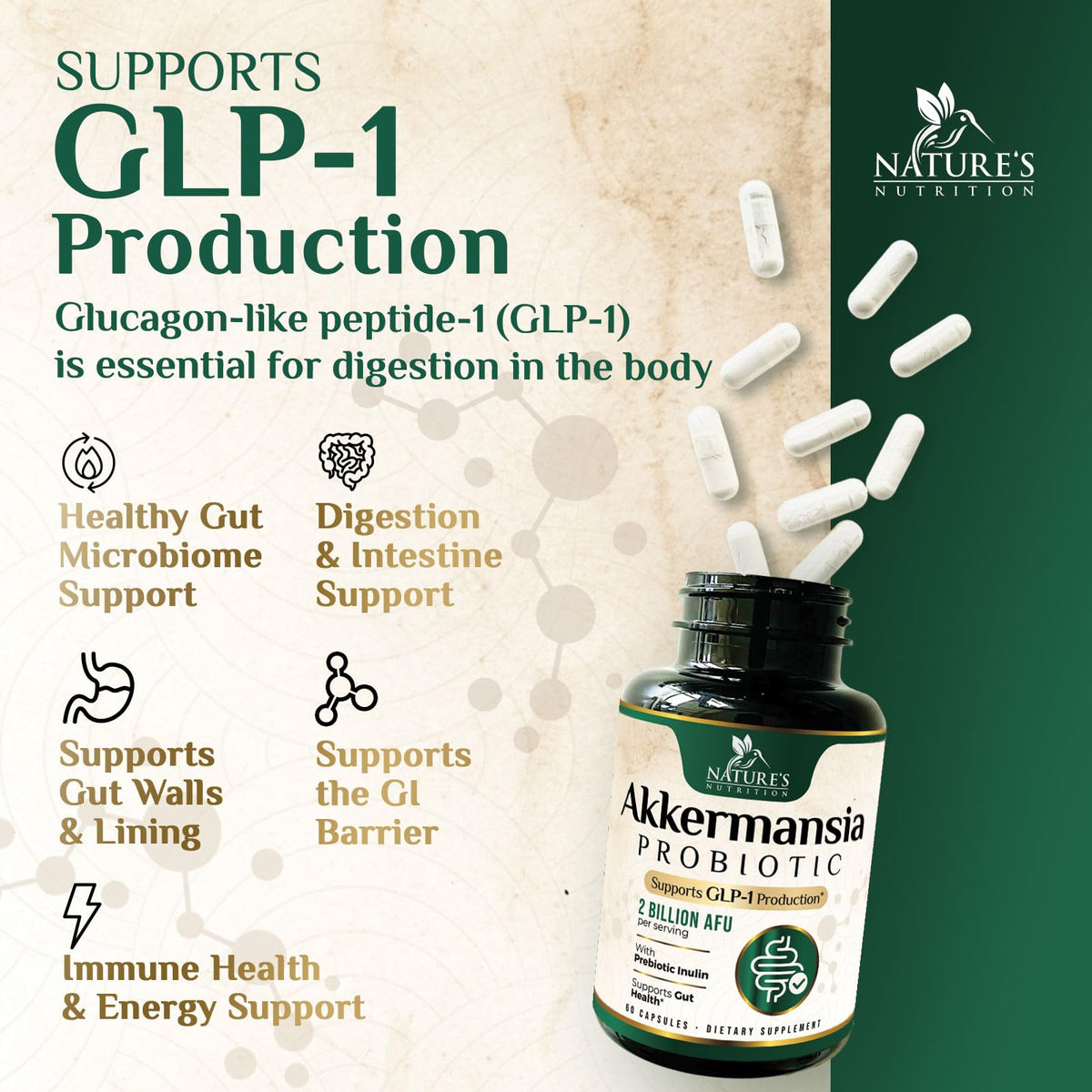 natural digestive health supplement
