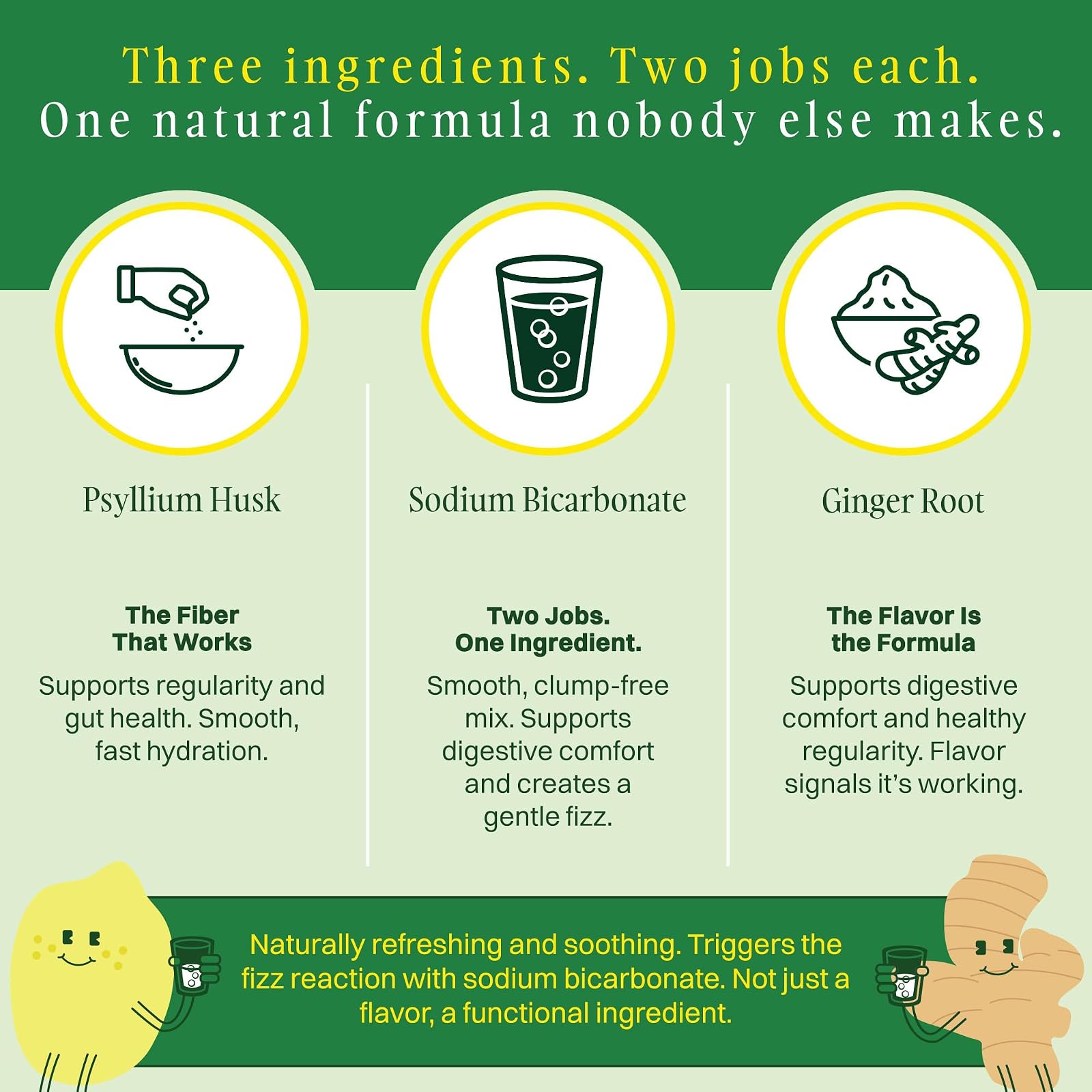 natural digestive health supplement