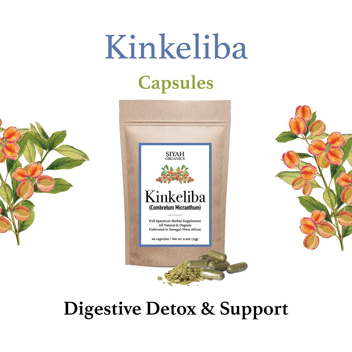 natural digestive health support capsules