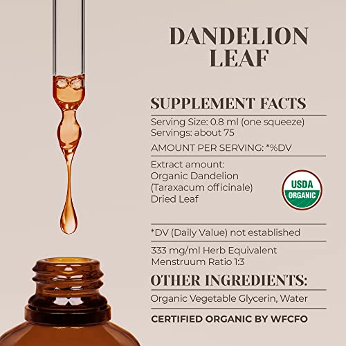 natural digestive health support supplement