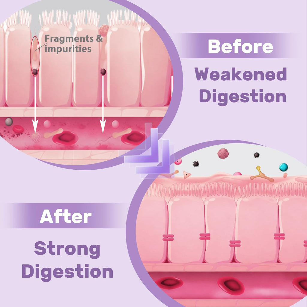 Natural digestive health support