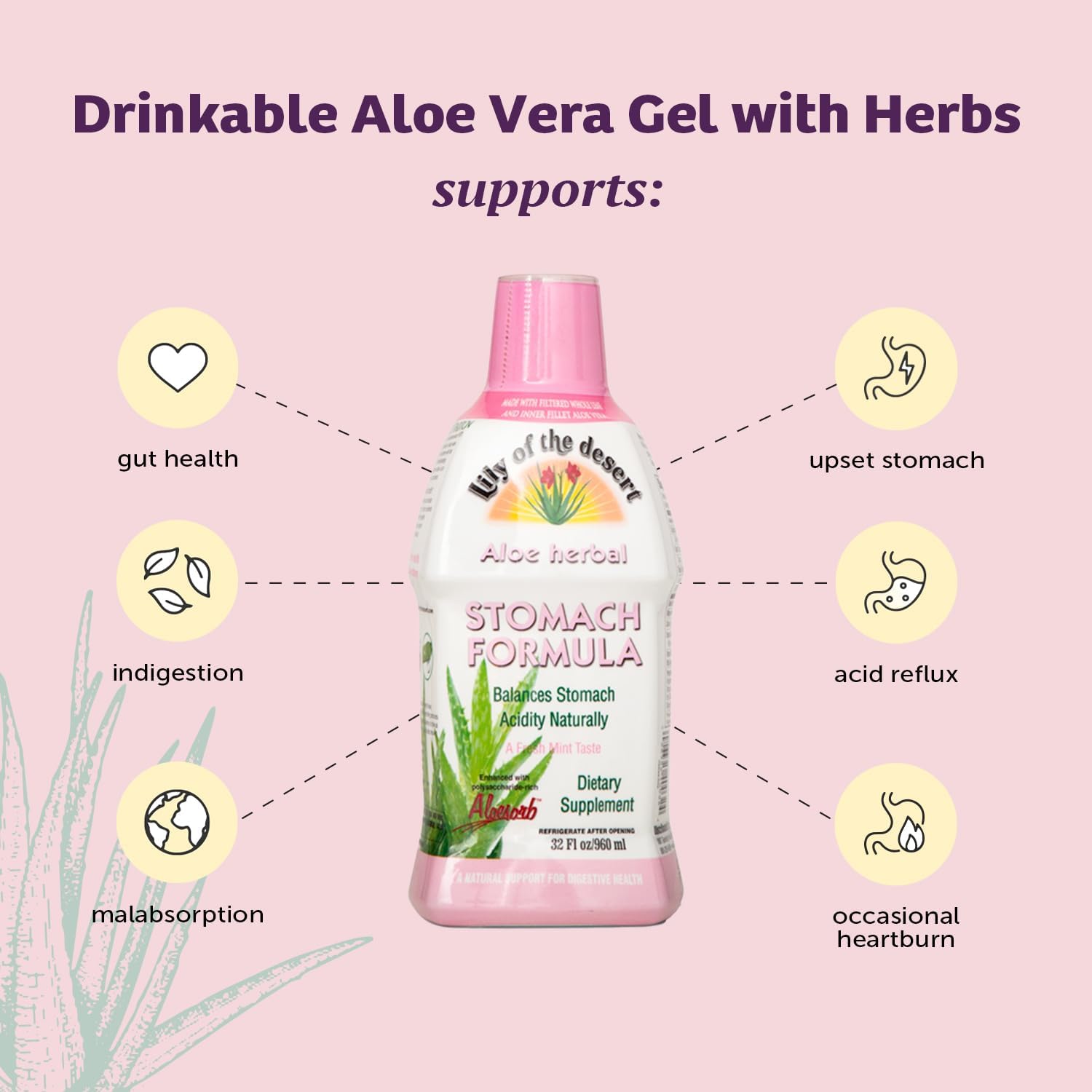 natural digestive health support