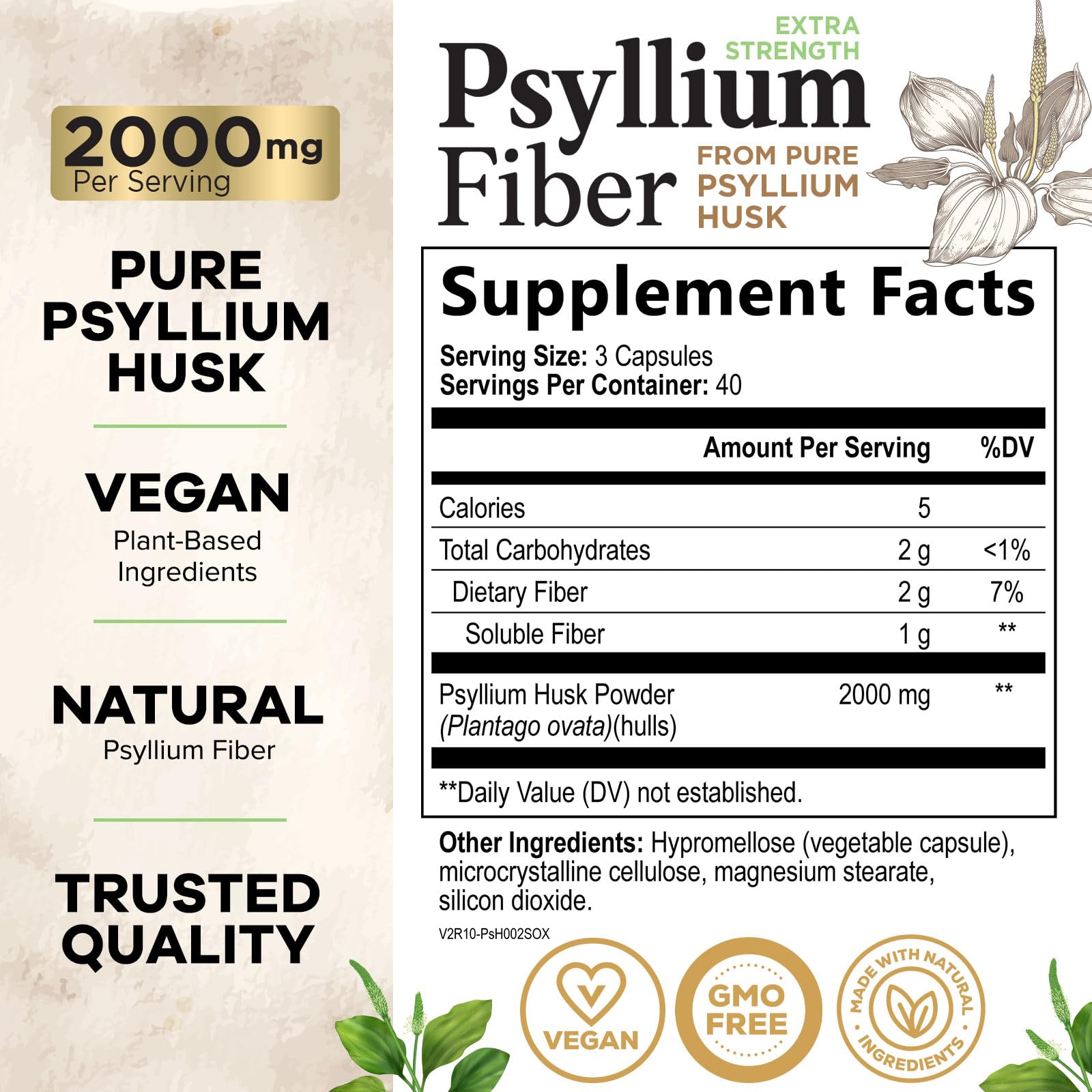 Natural digestive health support