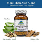 Natural digestive support Aloe Vera
