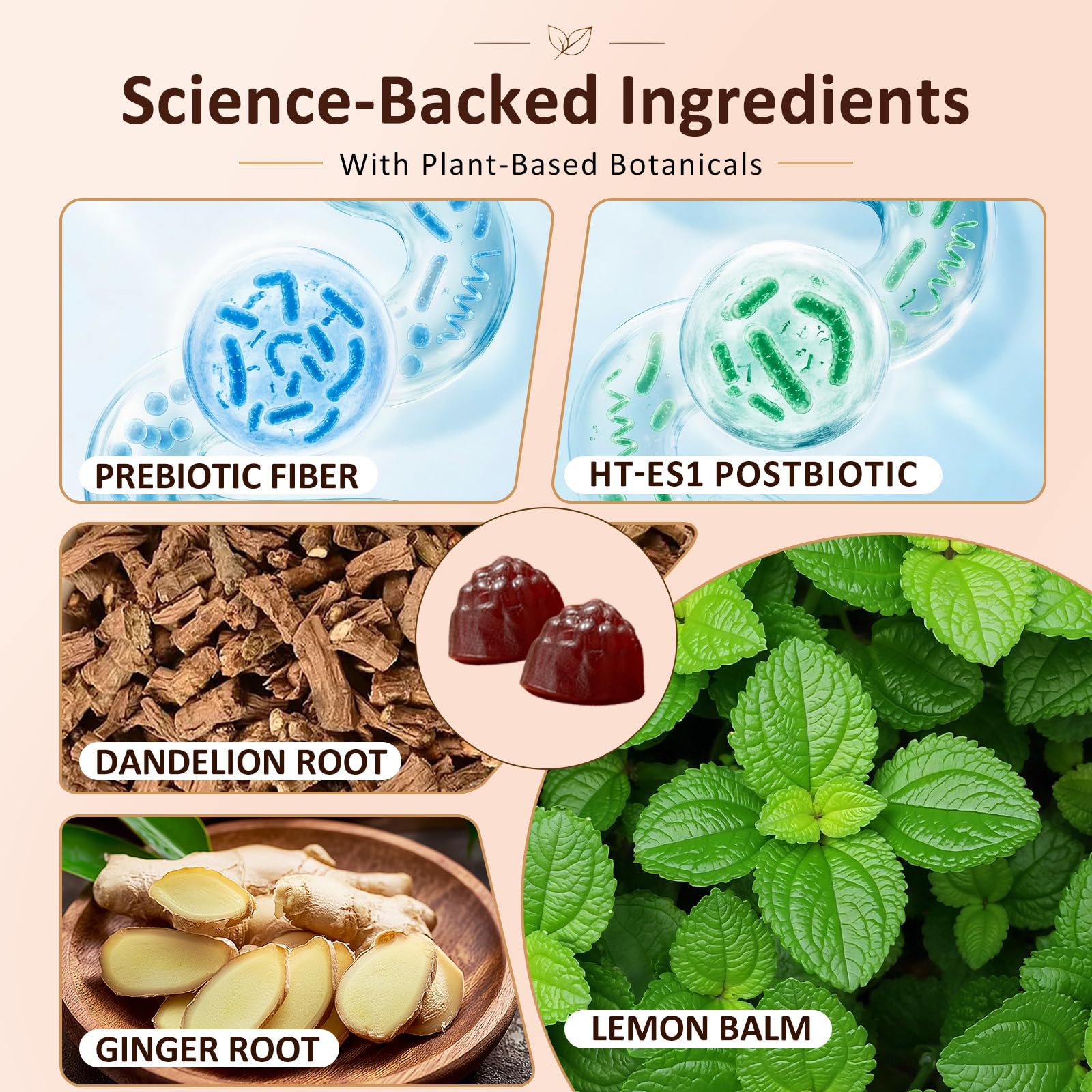 natural digestive support bloat gummies
