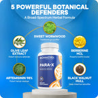 natural digestive support capsules