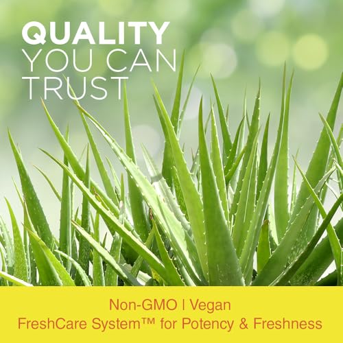 natural digestive support capsules