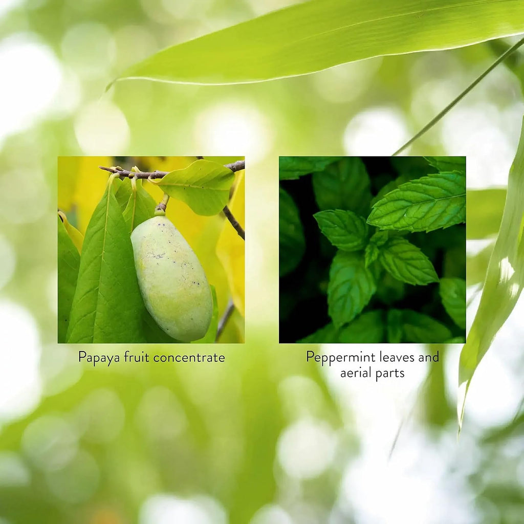 natural digestive support chewables