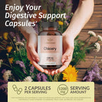 natural digestive support chicory fiber