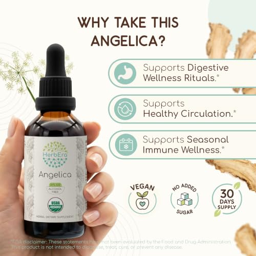 natural digestive support echinacea