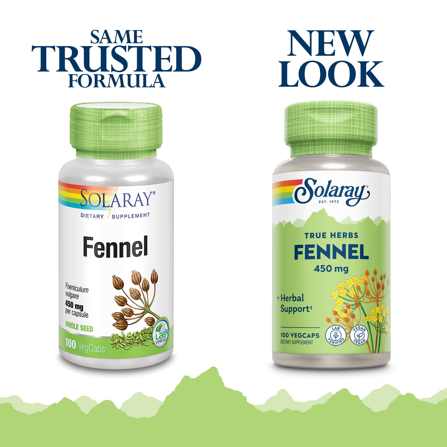 Natural digestive support fennel seeds