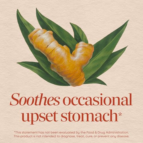natural digestive support ginger tea