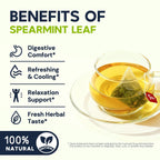 natural digestive support herbal tea