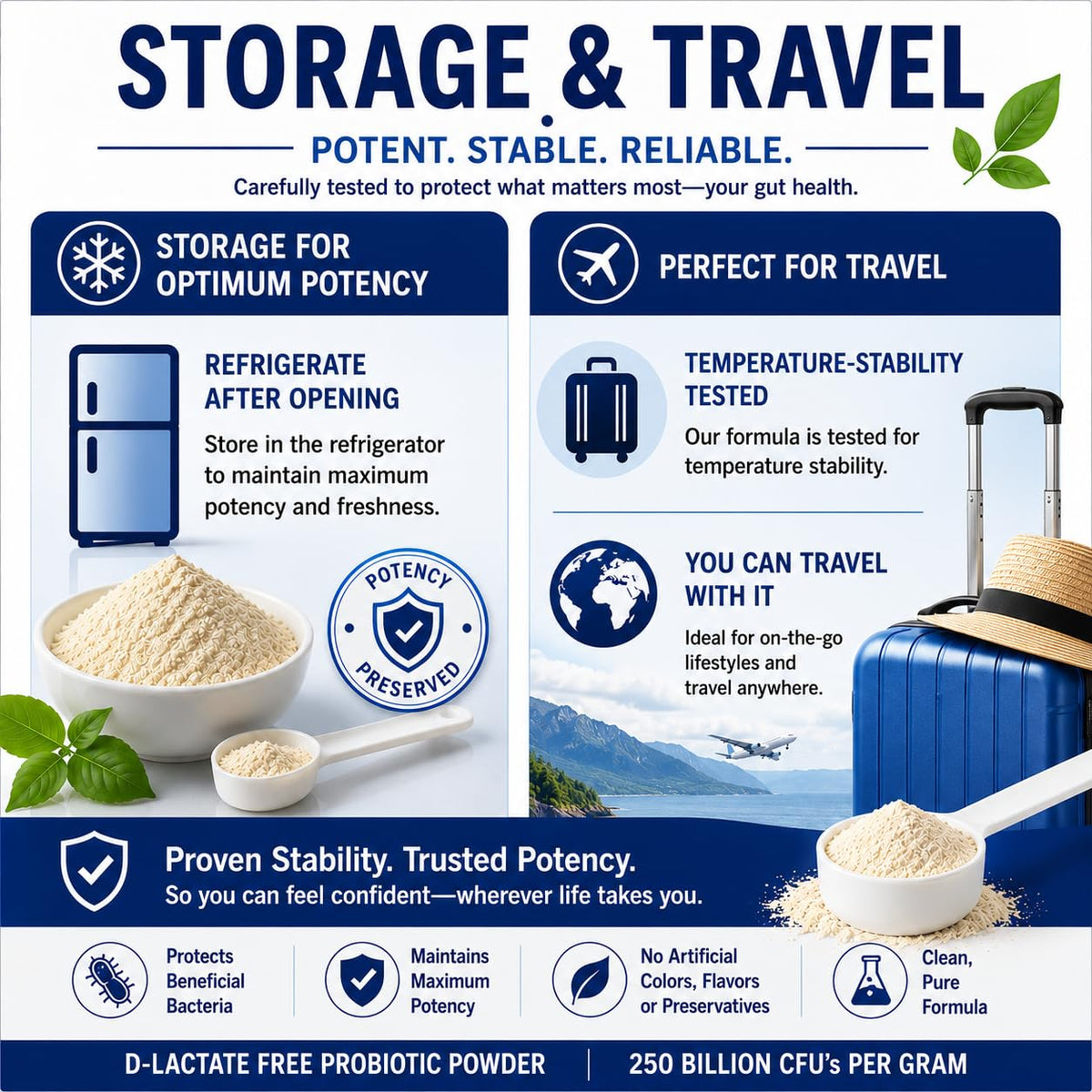 Natural digestive support powder