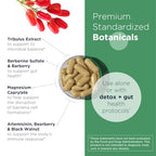 natural digestive support supplement