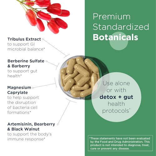 natural digestive support supplement