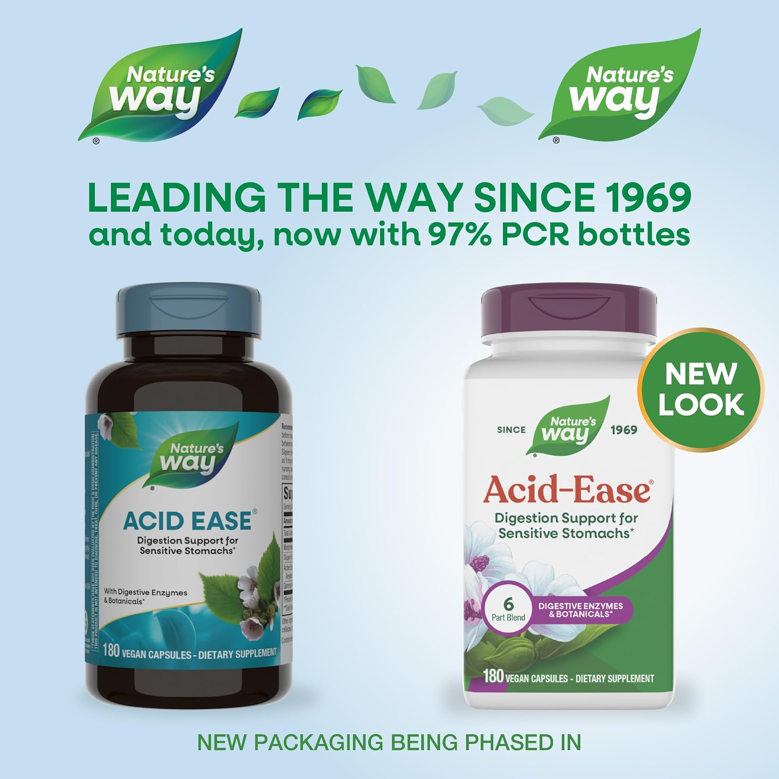 natural digestive support supplement