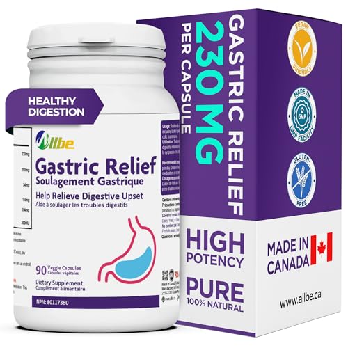 natural digestive support supplements