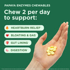 natural digestive support tablets