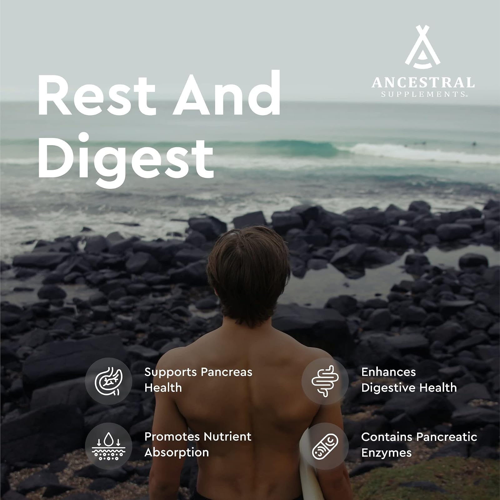 natural digestive support with beef pancreas