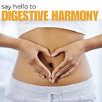 natural digestive support with enzymes