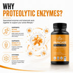 natural digestive support with enzymes