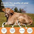 natural digestive support with Ox Bile