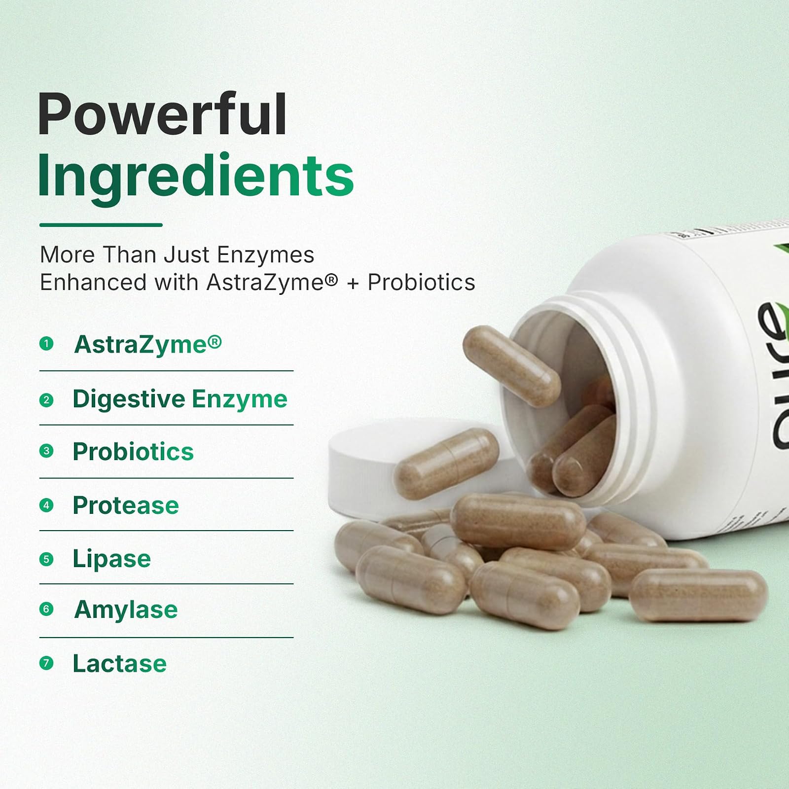 Natural digestive support with Superior enzymes