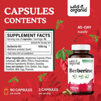 natural dihydroberberine for metabolic support