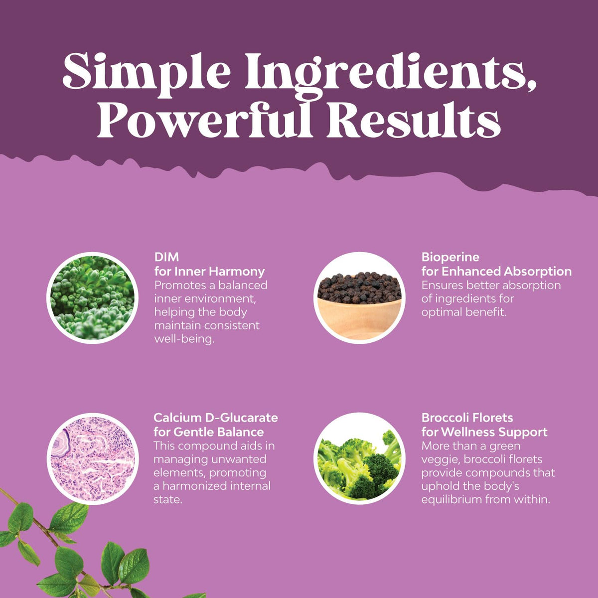 natural DIM supplement for men