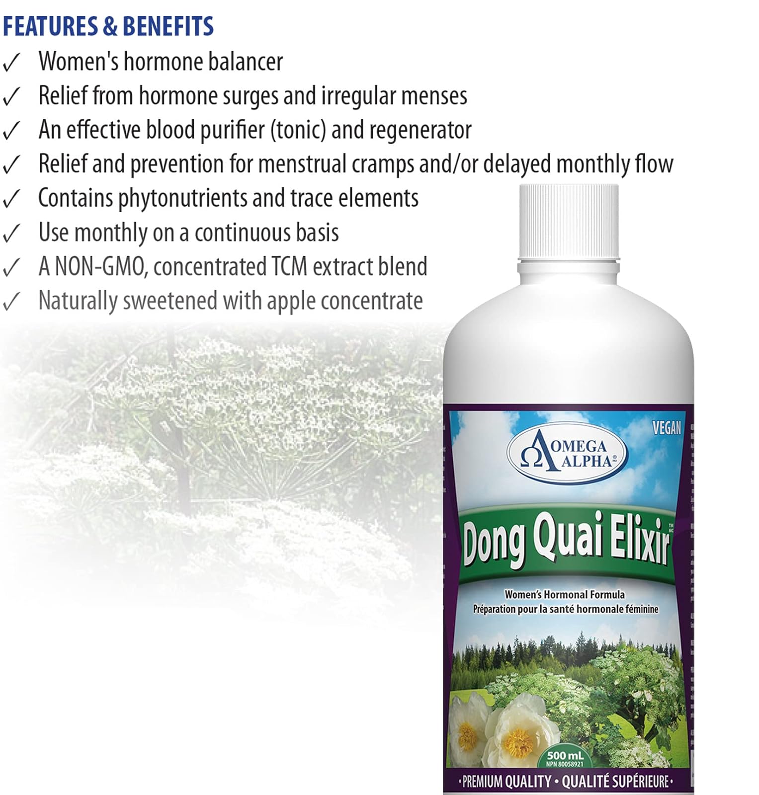 Natural Dong Quai energy booster