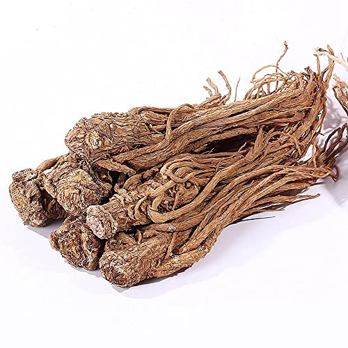 natural dong quai herbal supplement