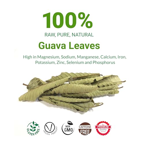 natural dried guava leaves for tea