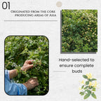 natural dried honeysuckle tea benefits
