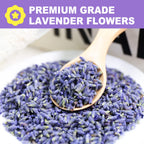 natural dried lavender buds for relaxation