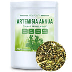 natural dried sweet wormwood tea