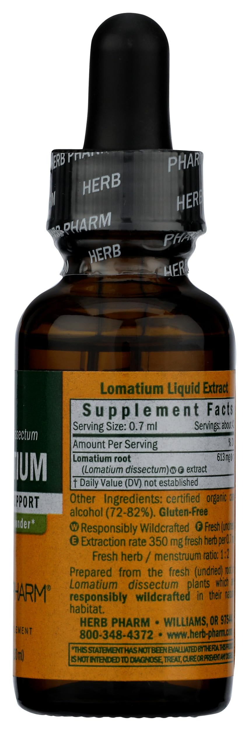 natural echinacea for better immunity