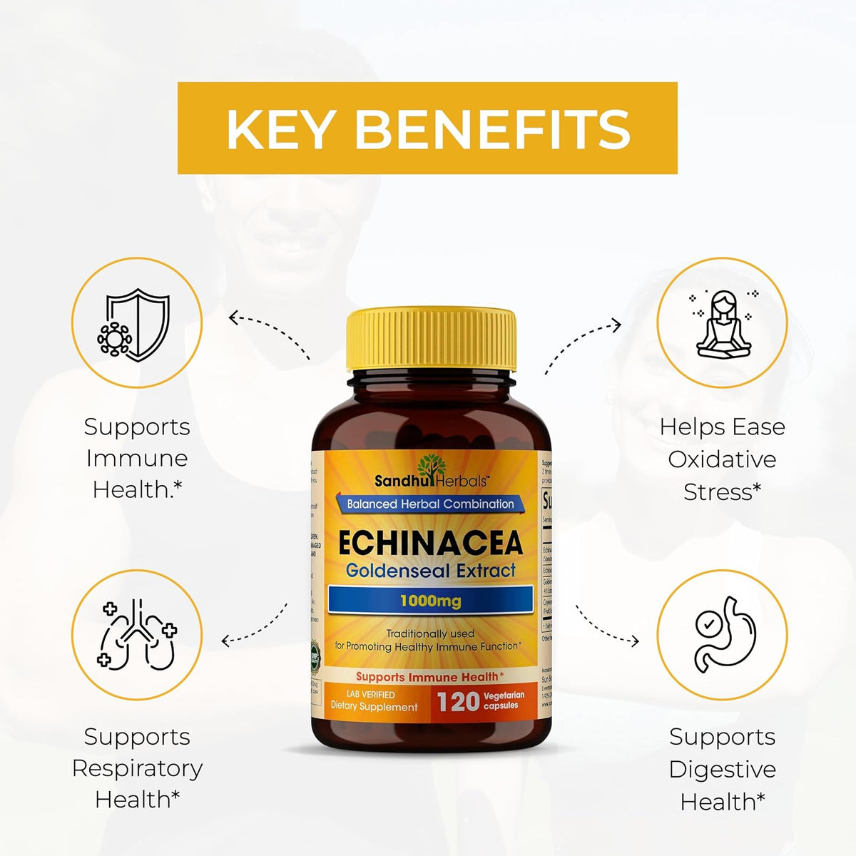 natural echinacea for cold relief