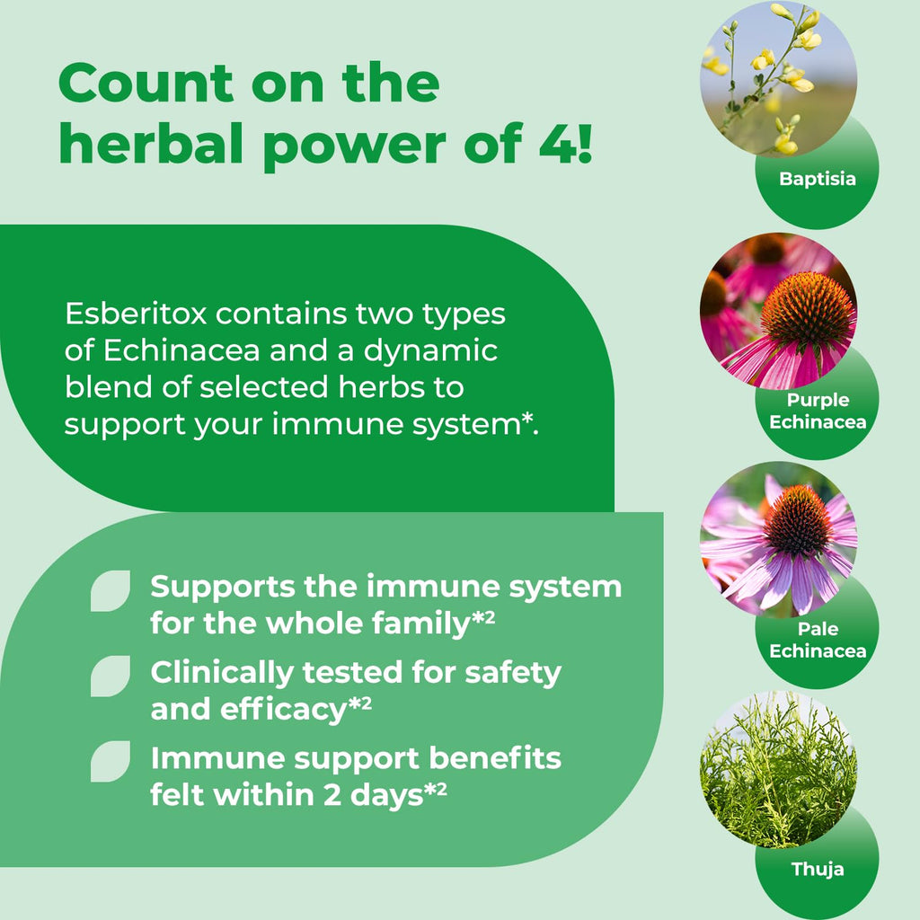 natural echinacea for cold relief
