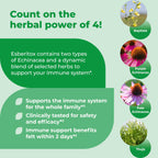 natural echinacea for cold relief