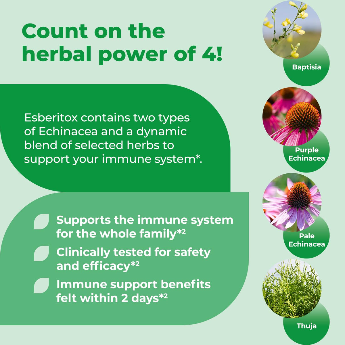 natural echinacea for cold relief