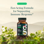 natural echinacea for cold relief