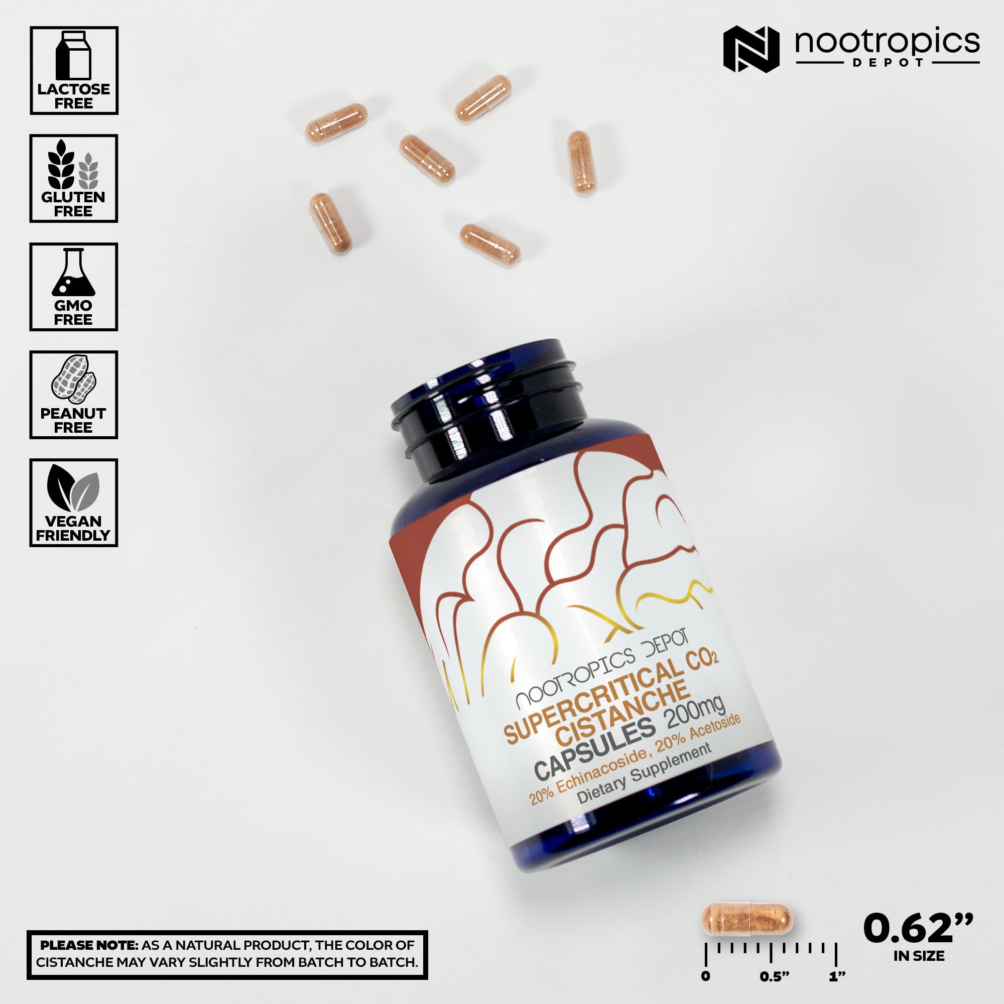 natural echinacea for daily wellness